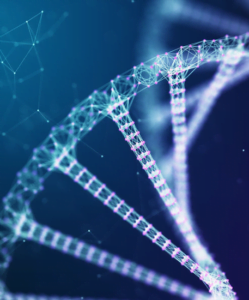 Exame de Exoma - Laboratorio Analysis
